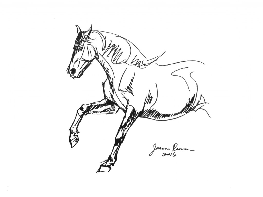 Ink Gallop Sketch – Equine Art by Jeanne Rewa